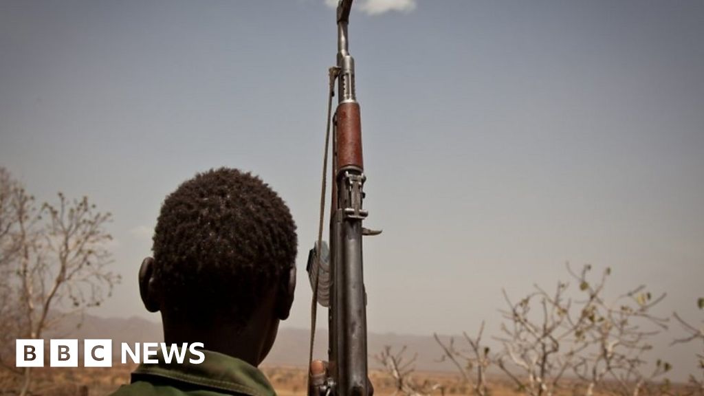 How Africa's armed groups get their weapons - BBC News