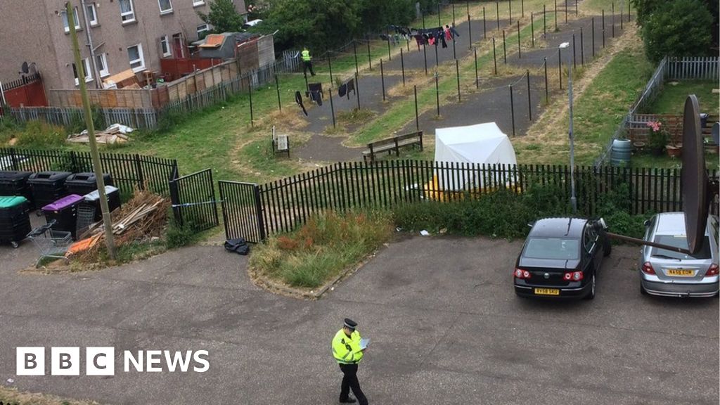 Two men and a woman in court over death in Edinburgh - BBC News