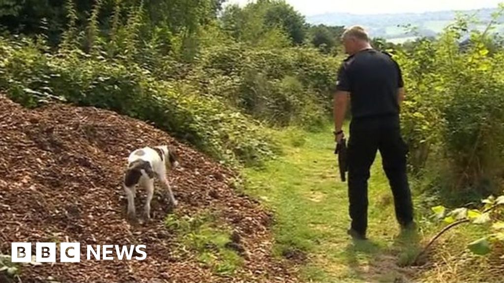 Why do severed human feet keep turning up in Bath? - BBC News