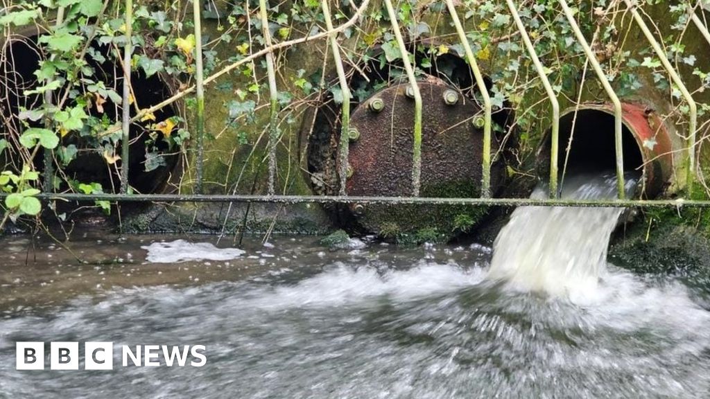 Conservationists say River Misbourne is threatened by sewage - BBC News
