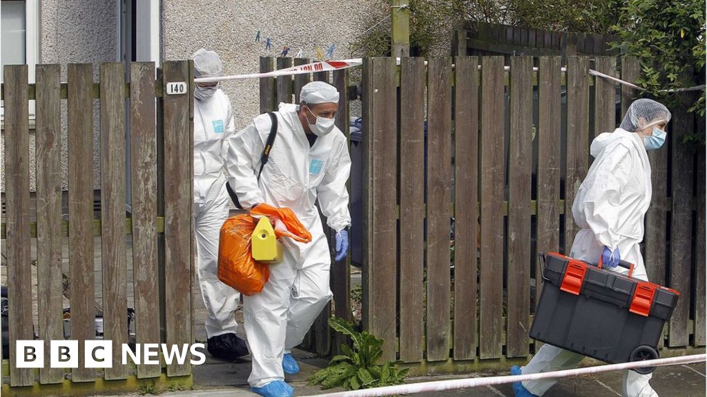 Owen Creaney murder: Shaunean Boyle says she took knife from co-accused ...
