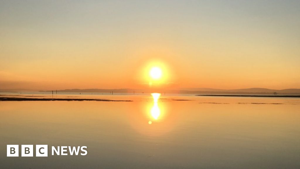 Solent coast birds could be protected by special status - BBC News