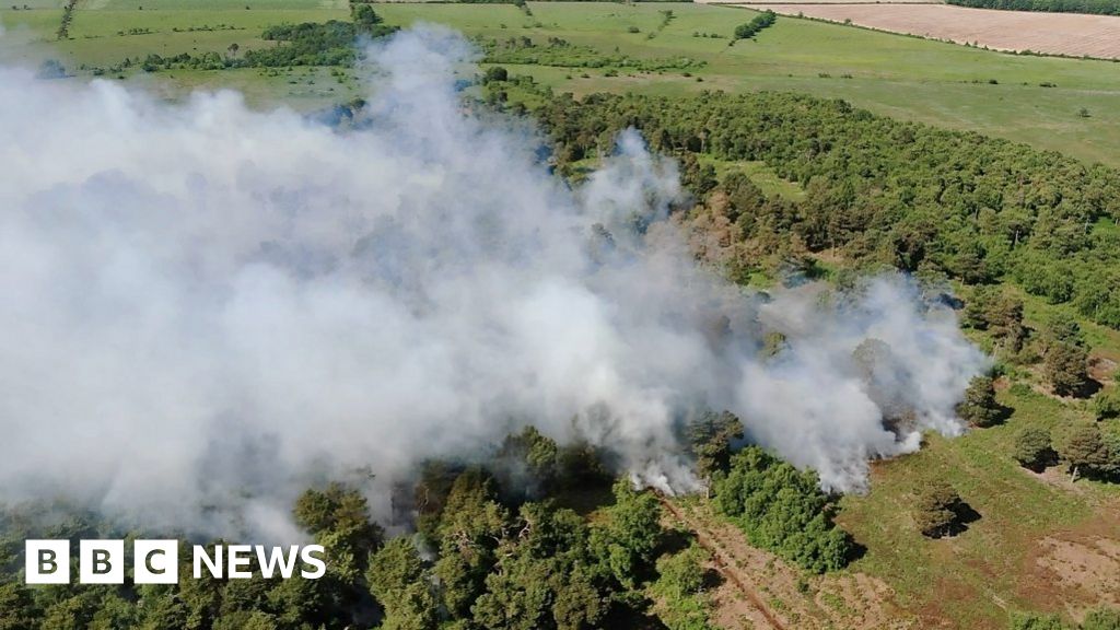 Aerial footage shows woodland wildfire near Newcastle airport - BBC News