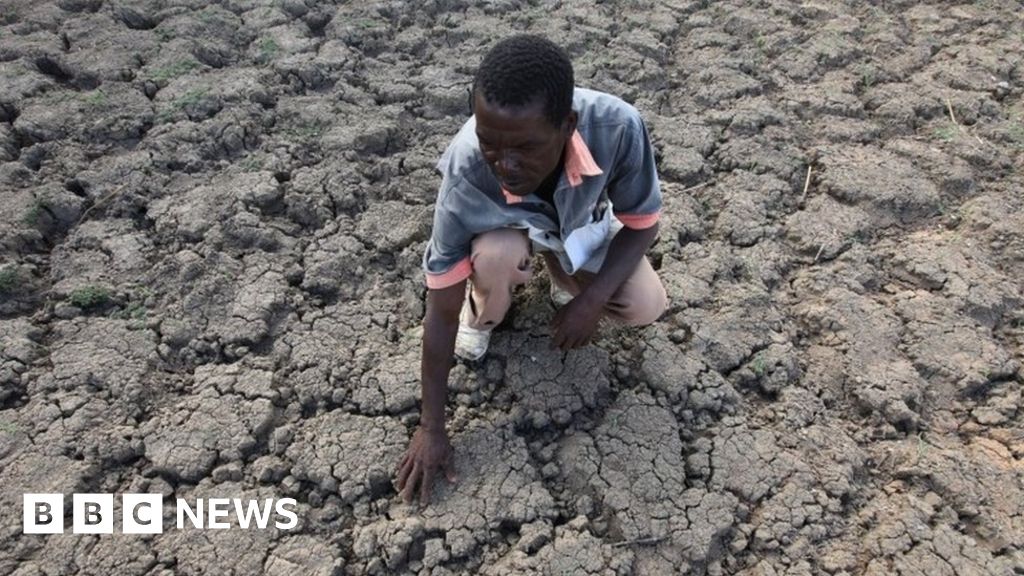 Zimbabwe hunger may spiral out of control, UN warns - BBC News