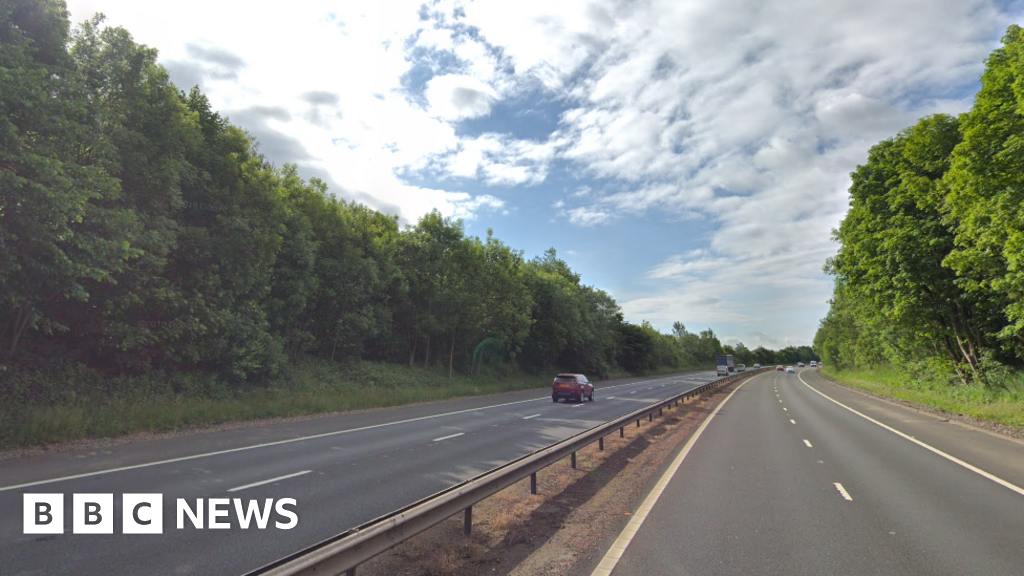 Woman dies after car crashes off M9 in Stirling and hits tree - BBC News