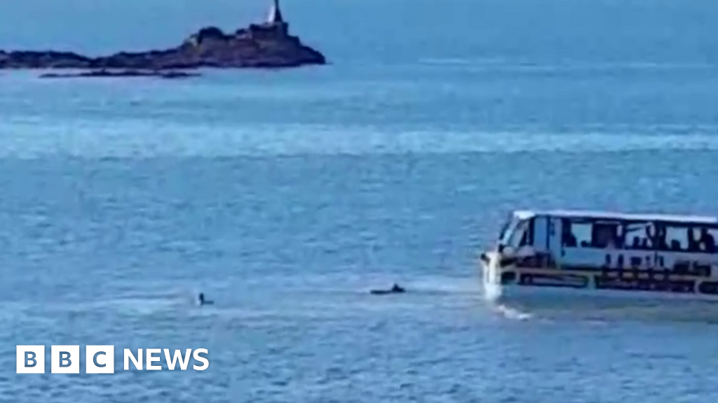 Woman trapped by tide rescued in water by ferry worker - BBC News