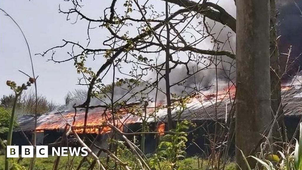 Nearly 50 animals killed in Guernsey barn fire - BBC News