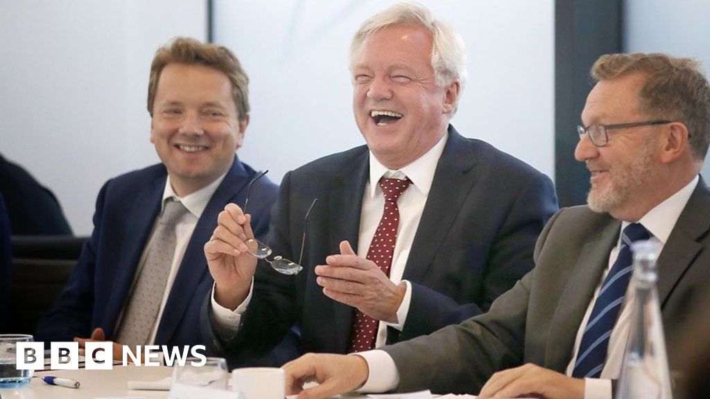 Former Tory aide renews call for anti-Brexit party - BBC News