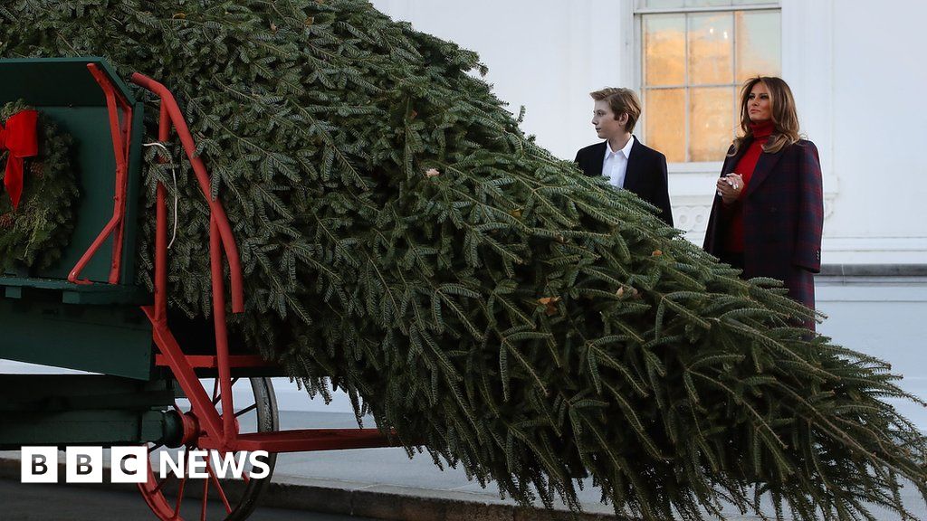 US First Lady Melania Trump receives Christmas tree - BBC News
