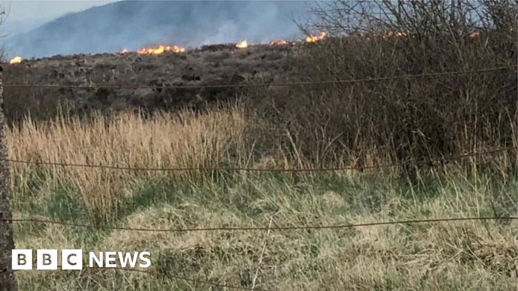 Firefighters tackle 300 gorse fires in three weeks