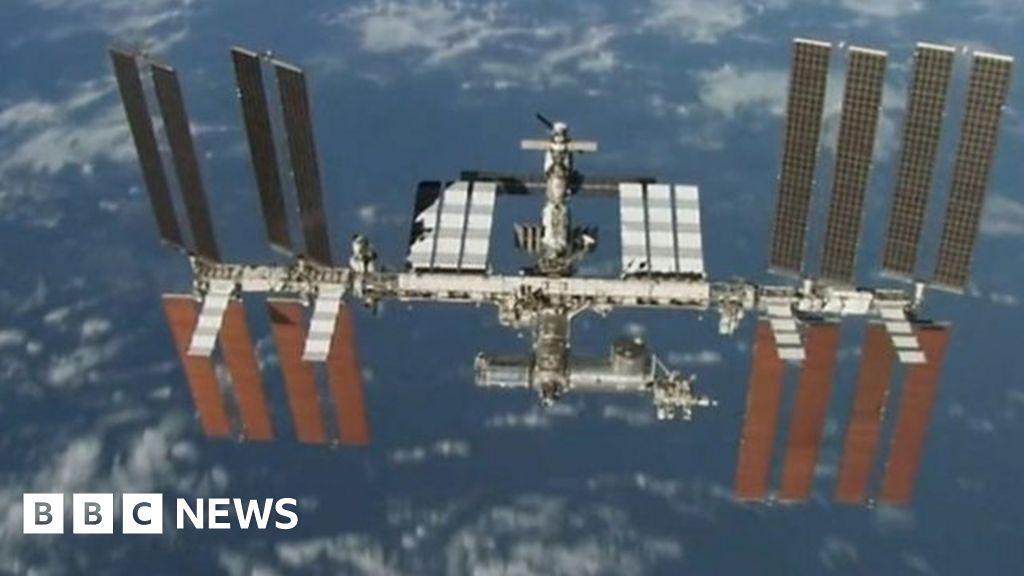 Pupils find out results of ISS space seeds experiment - BBC News