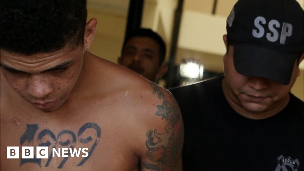 In pictures: Aftermath of deadly Brazil prison fight - BBC News