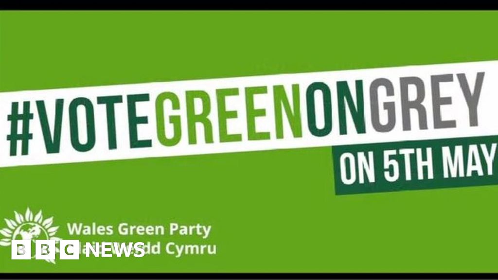 Green Party campaign spiked after voting slip error - BBC News