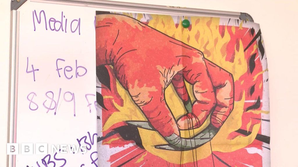 South Africa's anti-corruption campaigners deploy satire - BBC News