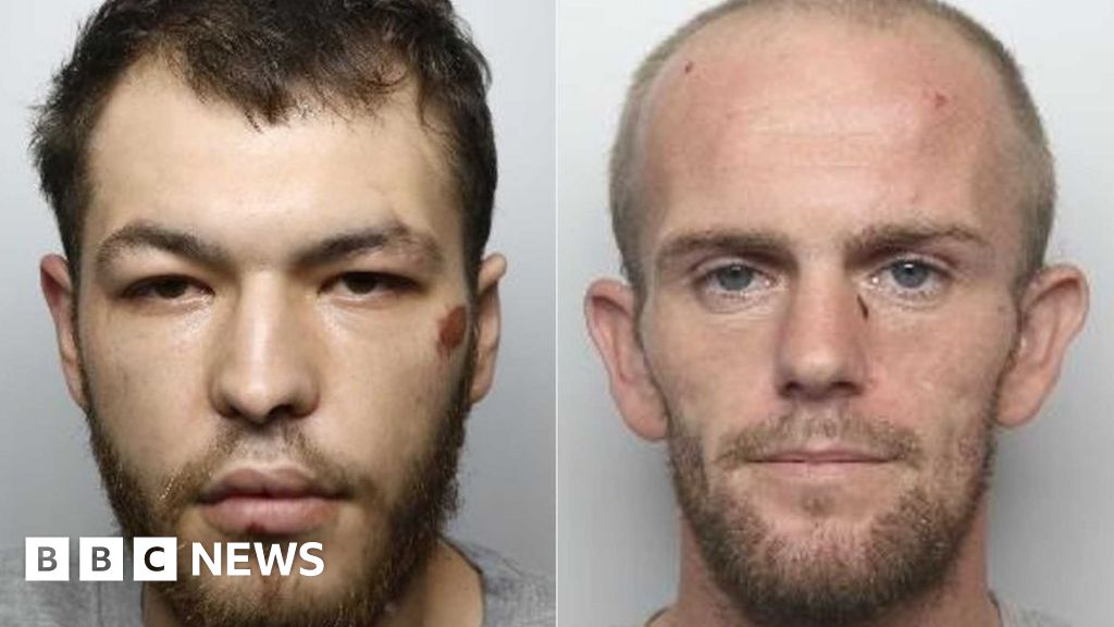 Carl Dixon murder: Two jailed over fatal 'tag-team' attack - BBC News