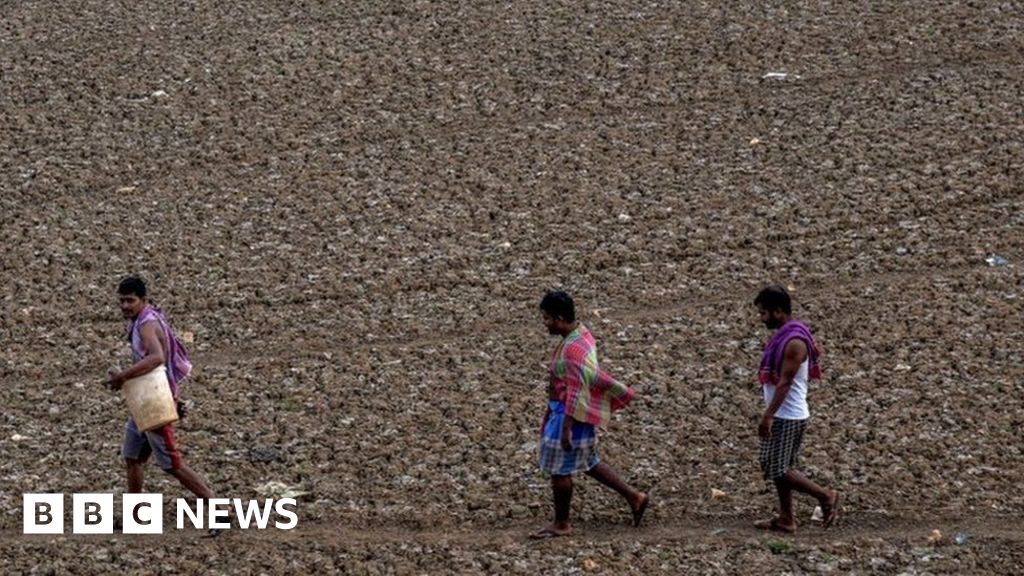India water crisis flagged up in global report - BBC News