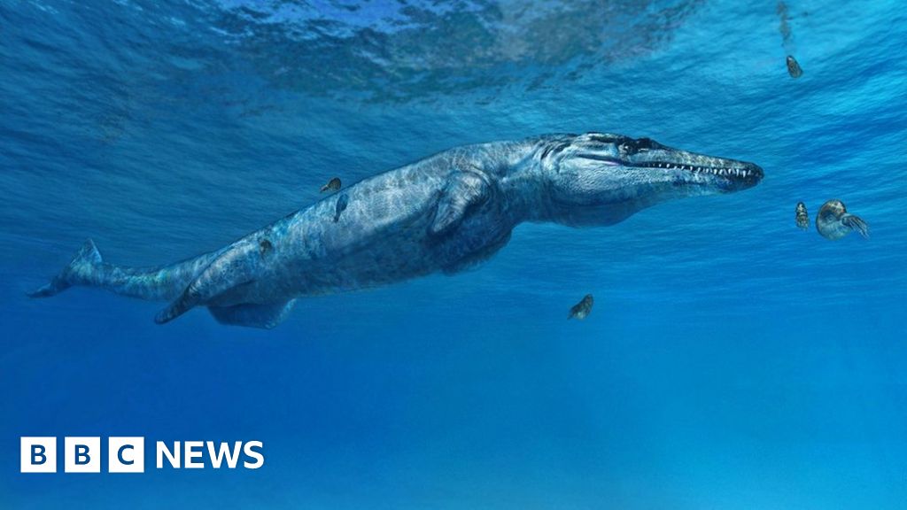 New prehistoric marine predator related to crocodiles