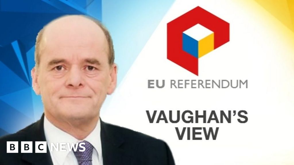 EU referendum: Vaughan Roderick's view - BBC News