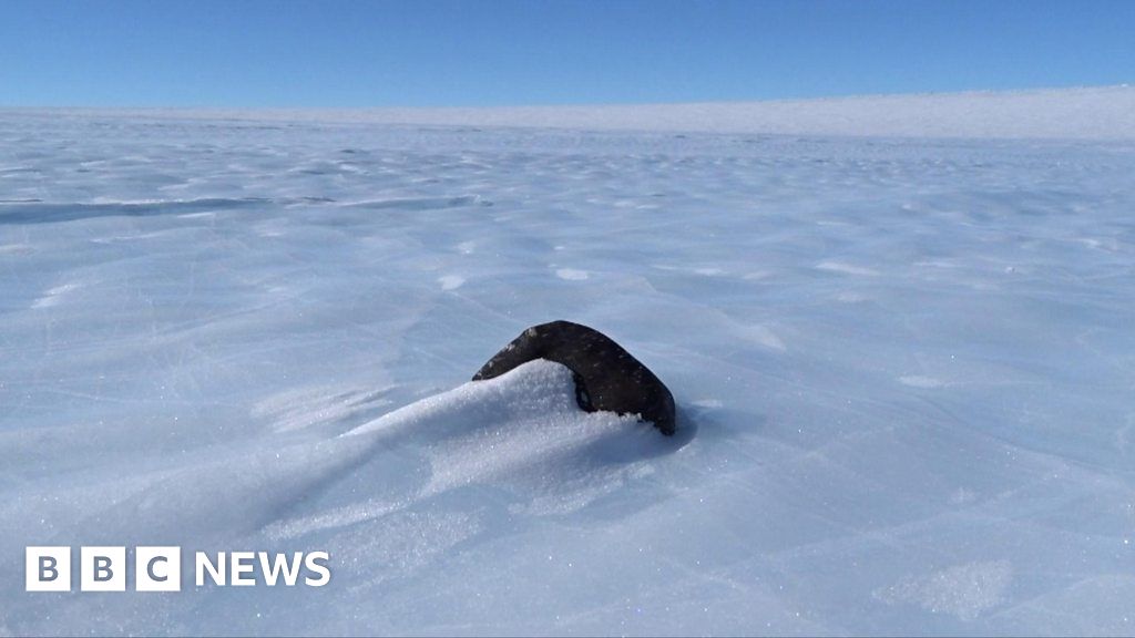 The scientists hunting for space rocks in Antarctica