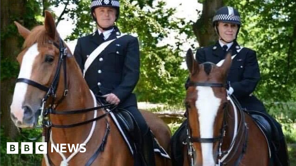 Police horses bolt stable door on star-studded careers