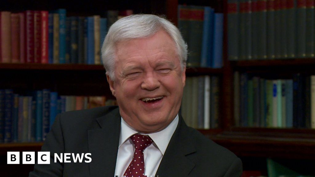 David Davis on Boris Johnson 'back seat driving' - BBC News