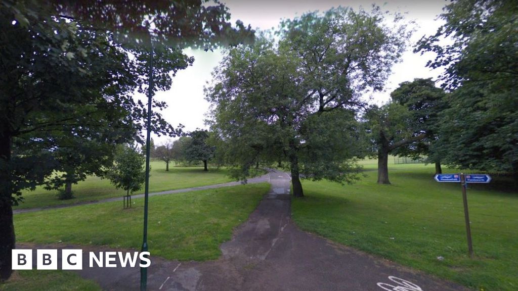 Darnall park rape: Four teenage boys arrested - BBC News