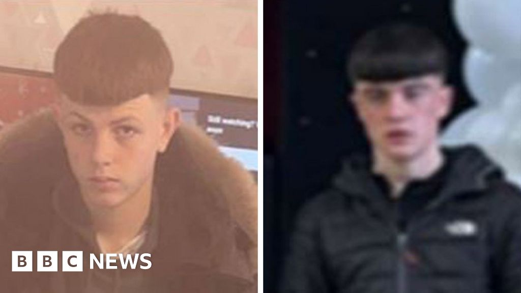 Cardiff riot: Ely crash death boys were best friends