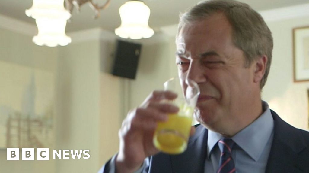 UKIP's MEP and former leader on the UK's road towards Brexit - BBC News