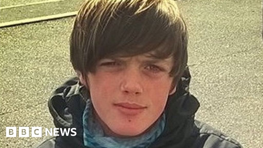 James Meadows murder probe: Four held over pillion teen's death