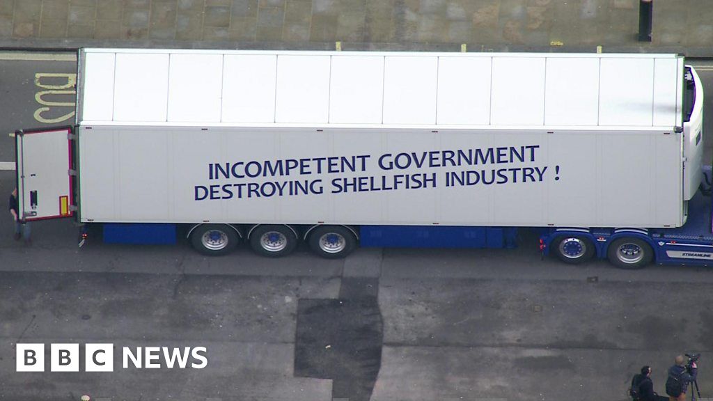 Lorry drivers protest at post-Brexit fish export rules - BBC News