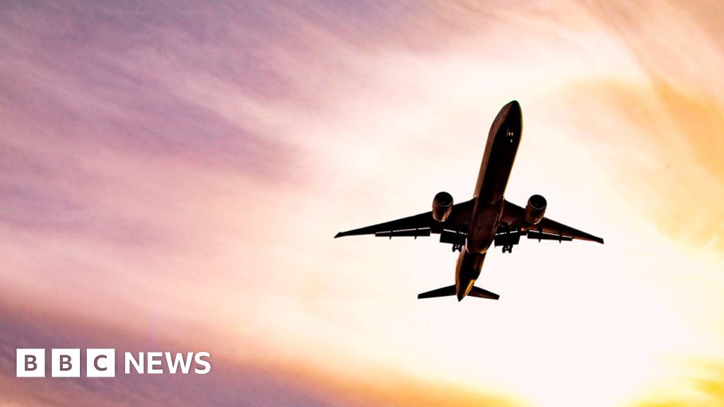 Can airlines 'bump' people off flights? - BBC News