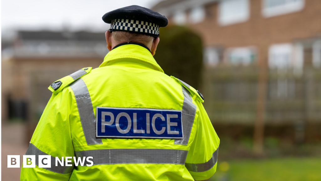 Arrests after woman attacked with bat and crowbar in Sheffield - BBC News