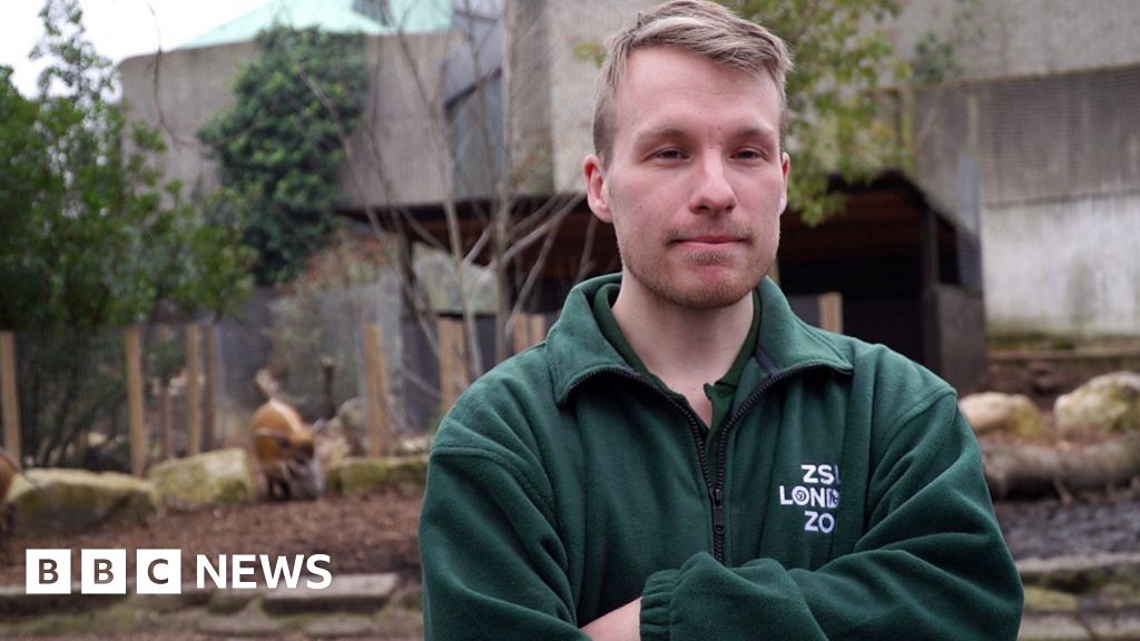 London Zoo: Learning to be a zookeeper during lockdown - BBC News