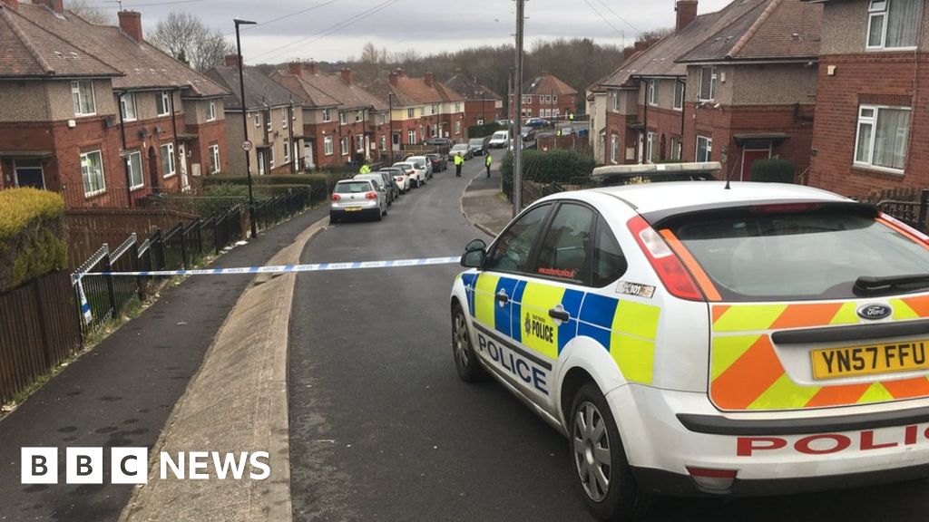 Sheffield stabbing murder detective appeals to killers