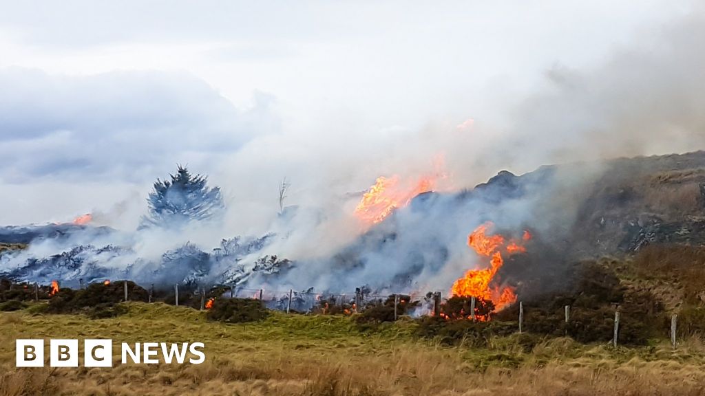 Deliberate fires: South Wales valley areas lead hot spots - BBC News