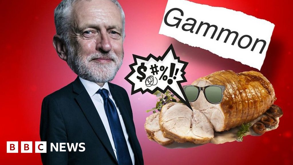 Left-wing internet phrases: gammon, melts and slugs