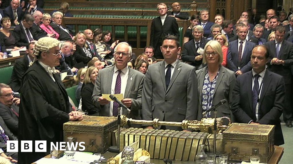EU referendum: Commons defeat makes vote 'fairer' - BBC News