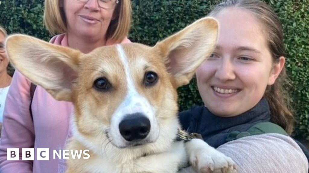 In pictures: King Charles III's first visit to Wales as monarch - BBC News