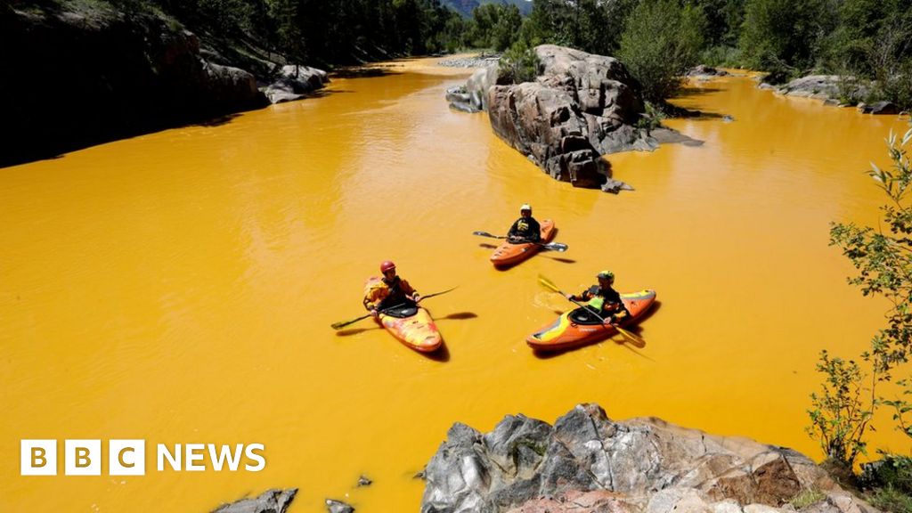 Millions of gallons of waste turn Colorado river yellow - BBC News