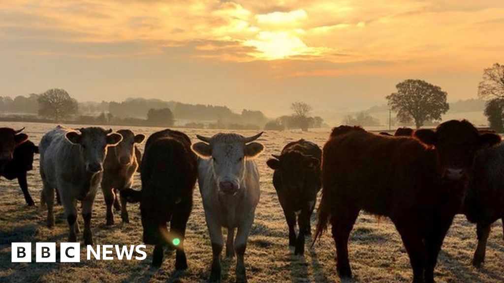 Frosty weather: Photographers snap wintry scenes around England - BBC News