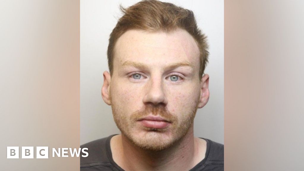 Daniel Boulton admits Bethany Vincent and Darren Henson manslaughter ...