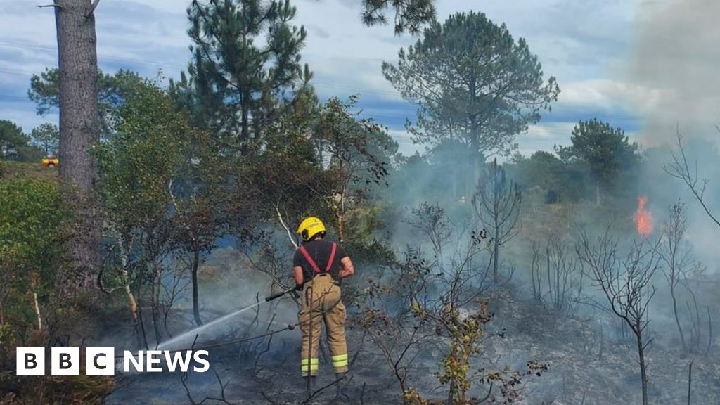 Fire breaks out at Upton Heath nature reserve in Dorset - BBC News