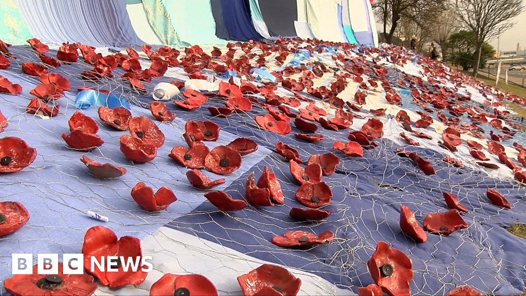 Poppy waterfall in Southend marks Remembrance Day - BBC News