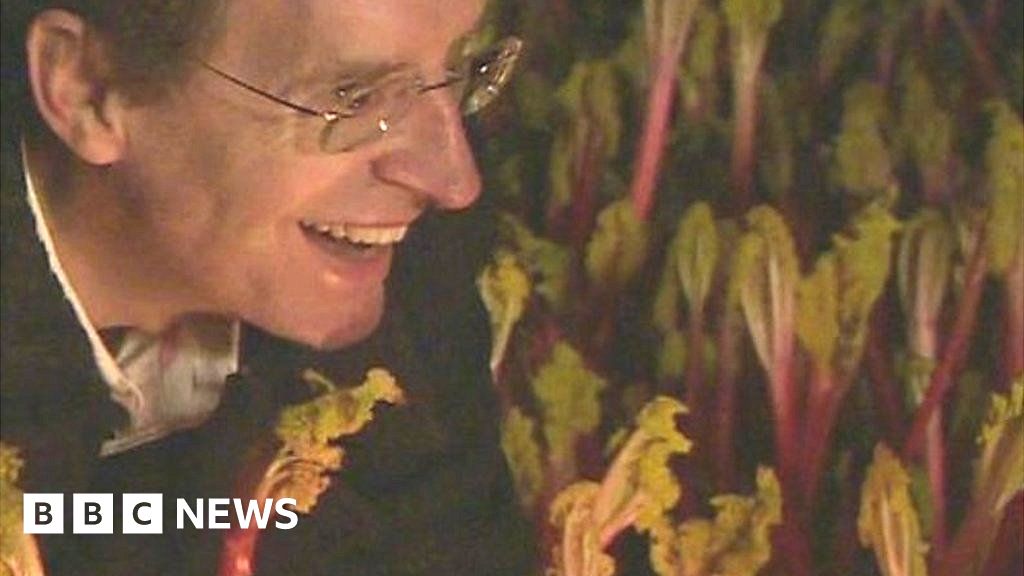 David Sillito visits the Rhubarb Triangle in West Yorkshire - BBC News