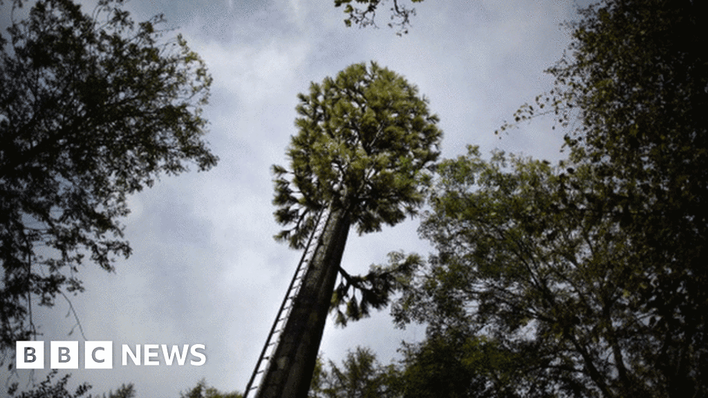 Ofcom delays mobile spectrum auction - BBC News