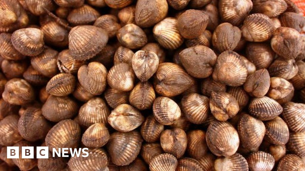 Norfolk fishermen in Wash cockles court victory - BBC News