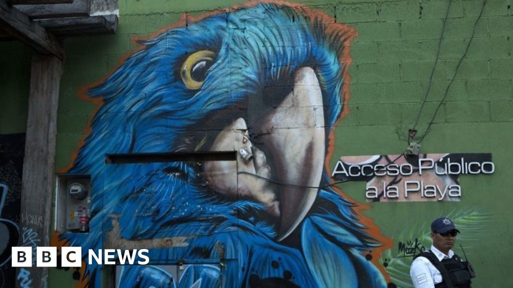 Mexico music festival shooting: 'Motive was personal conflict' - BBC News