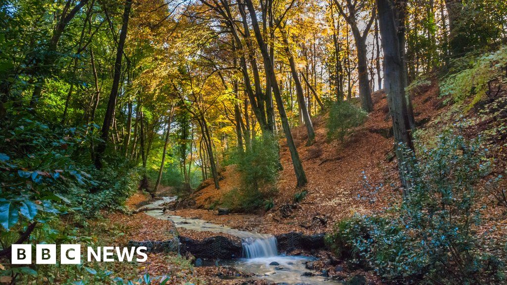 Woods near Inverness city centre taken over by charity