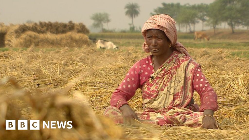 The Indian village that has returned to bartering - BBC News
