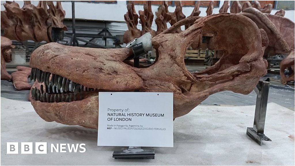 'Titanosaurs were the largest ever land animals' - BBC News